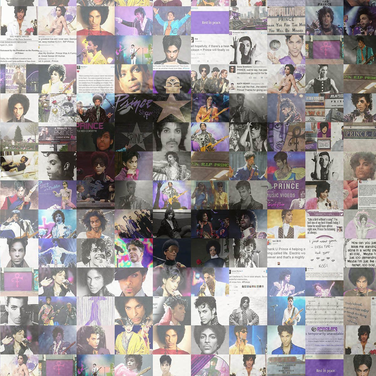 Prince Profile | Prince Art – Rare Interior Art